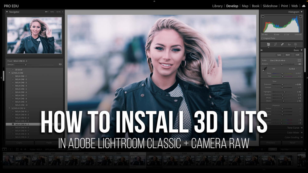 How To Install 3D LUTs in Lightroom Classic: A Step-by-Step Guide