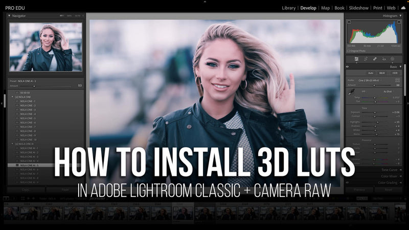 How To Install 3D LUTs in Lightroom Classic: A Step-by-Step Guide
