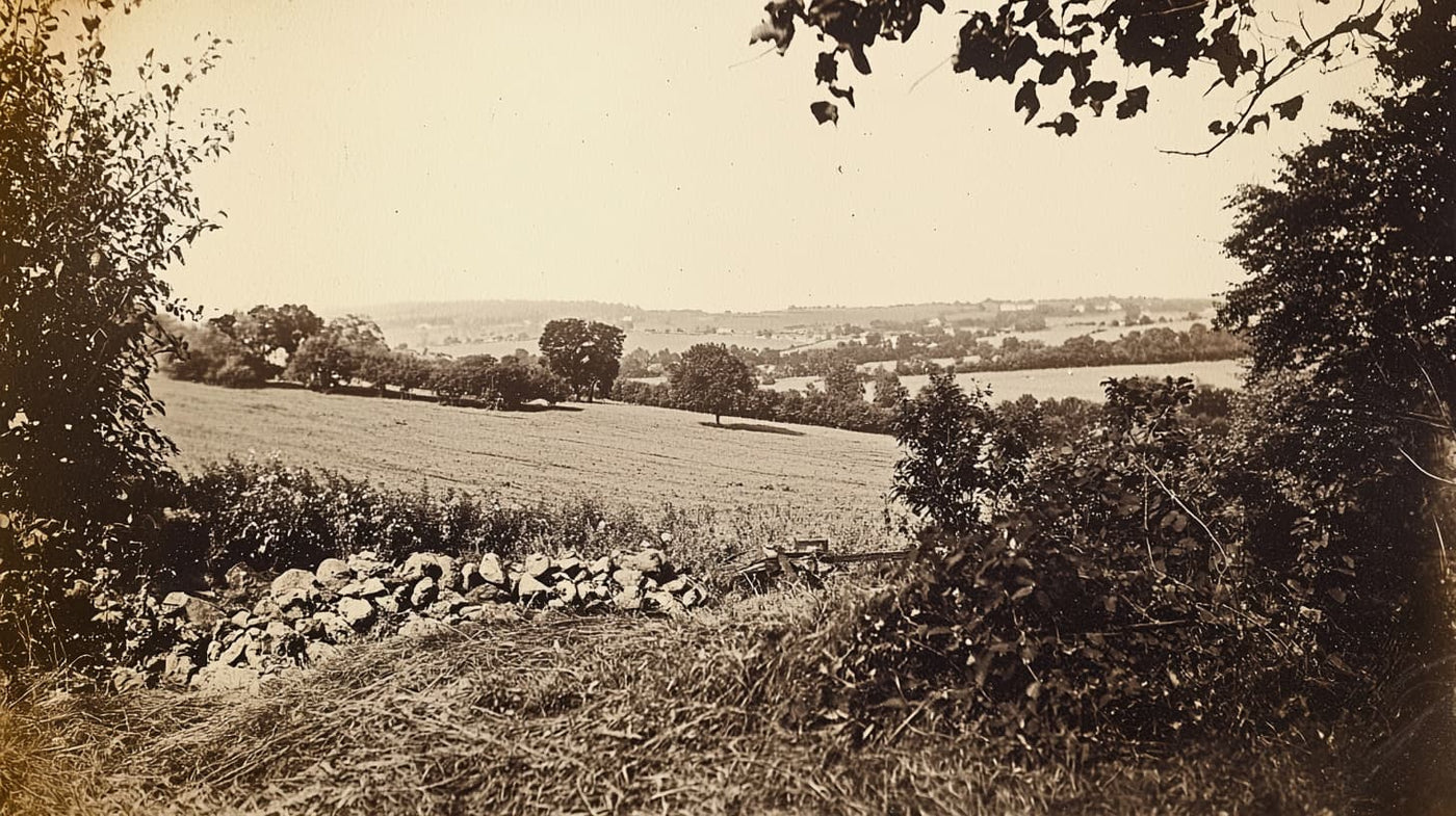 Nicéphore Niépce: Photography's Pioneering Genius