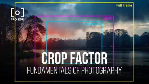Crop Factor: Understanding Its Impact