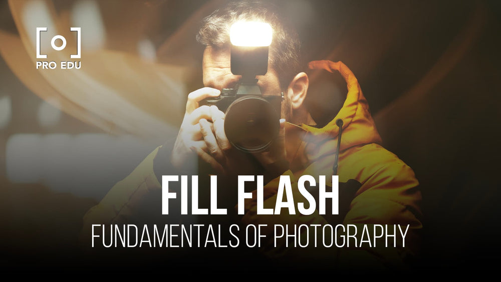 Fill Flash: Balanced Photography Techniques