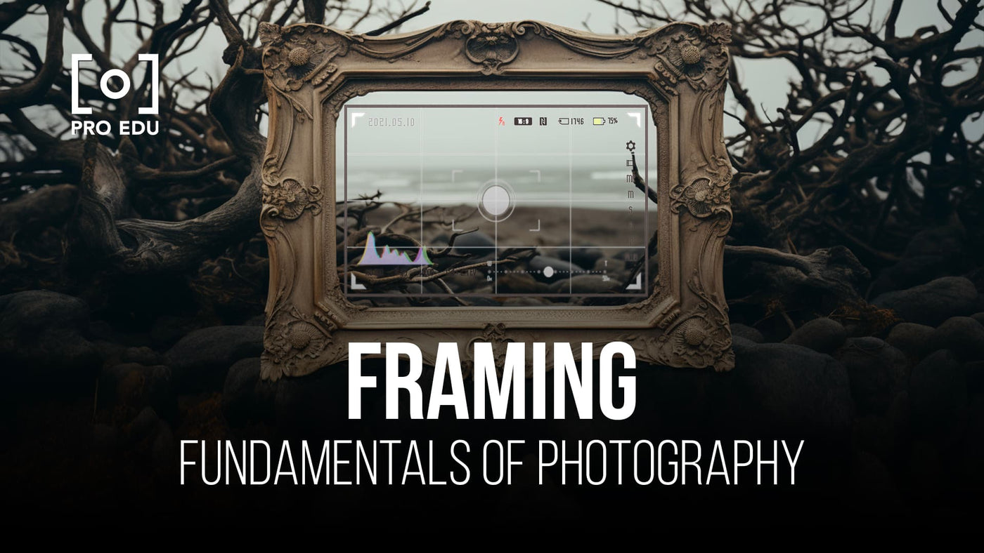 Framing Shots: A Beginner's Guide
