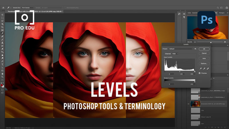 Levels in Photoshop: Mastering Image Tonality