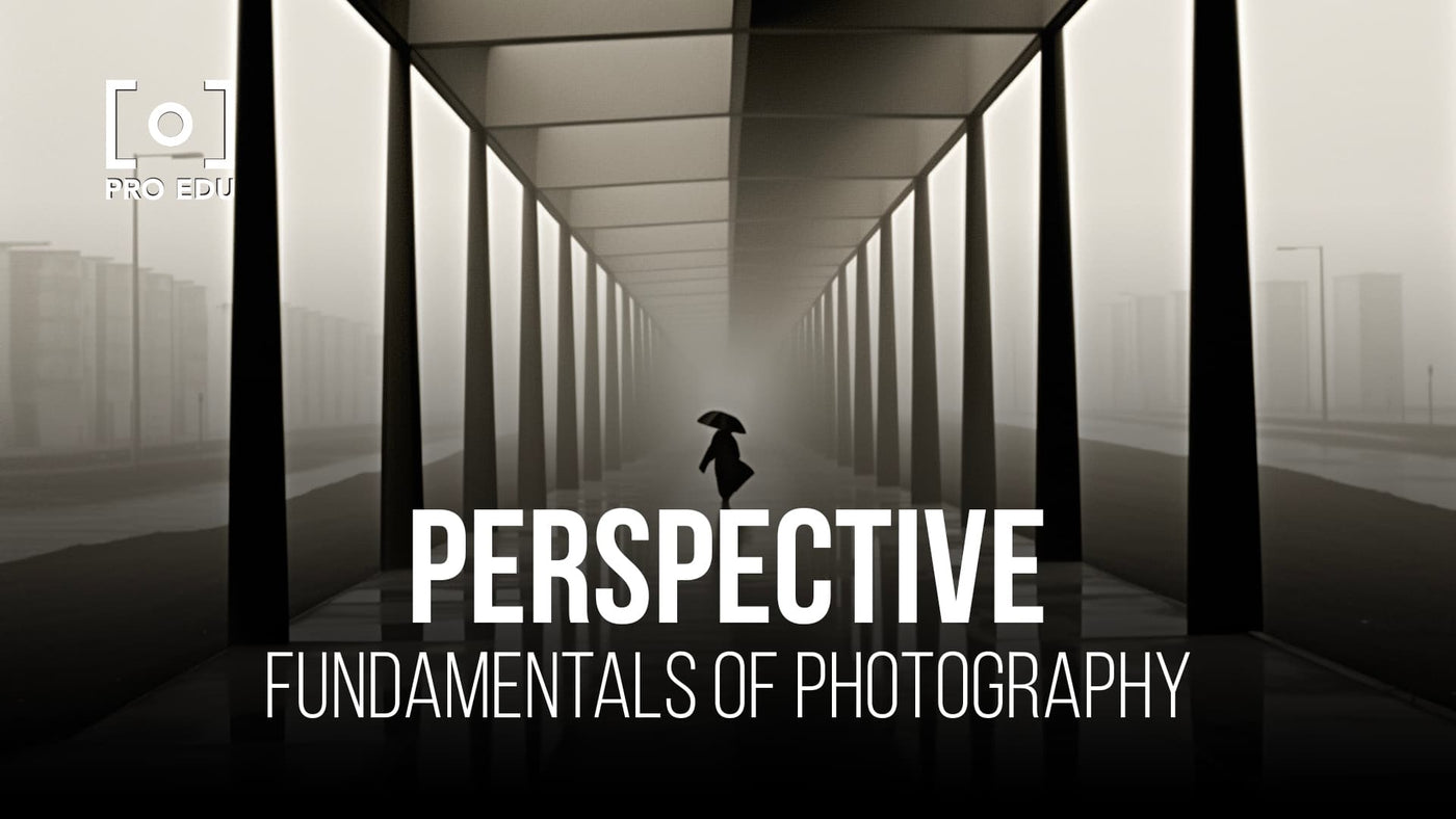 Perspective: Shaping Perception in Photos