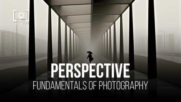 Perspective: Shaping Perception in Photos