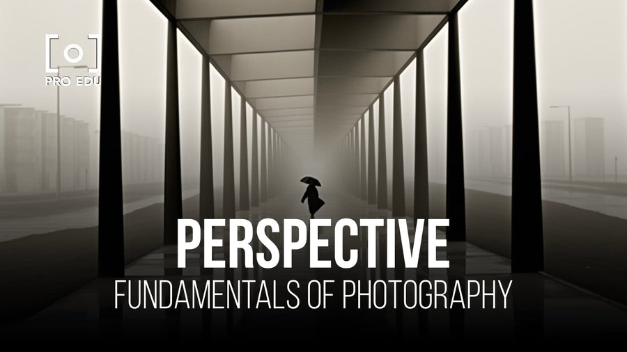 Perspective: Shaping Perception in Photos