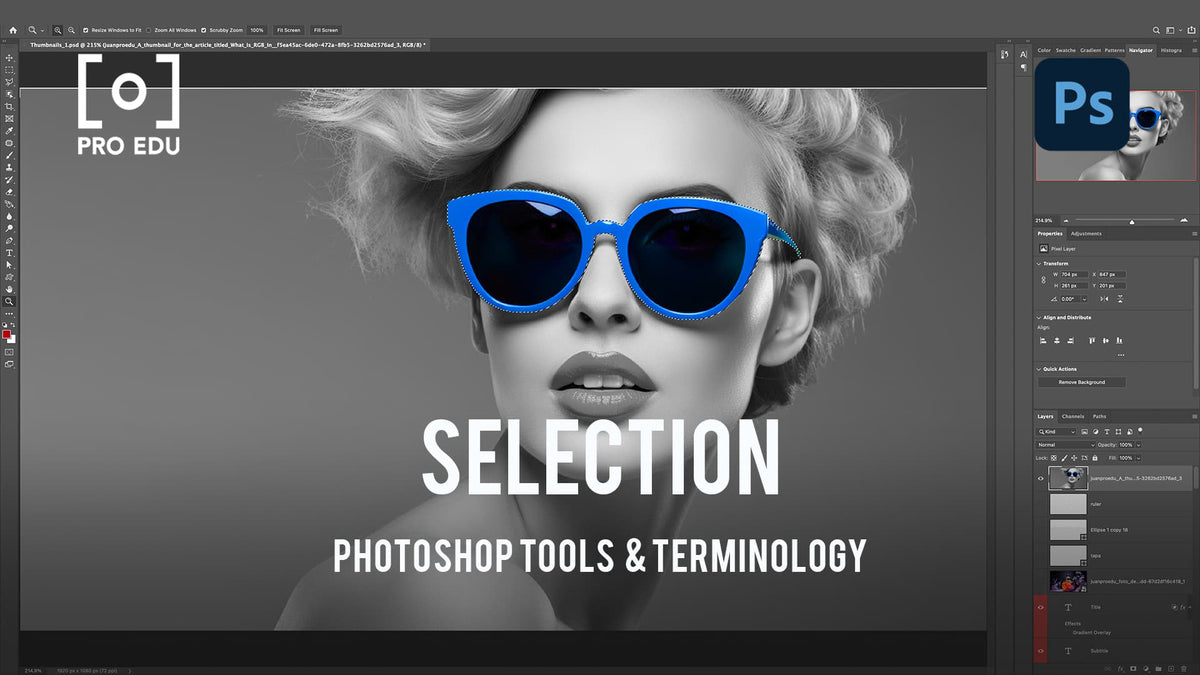 Selection Tools in Photoshop: Precise Control