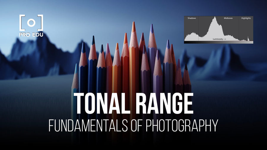 Tonal Range: Understanding in Photography