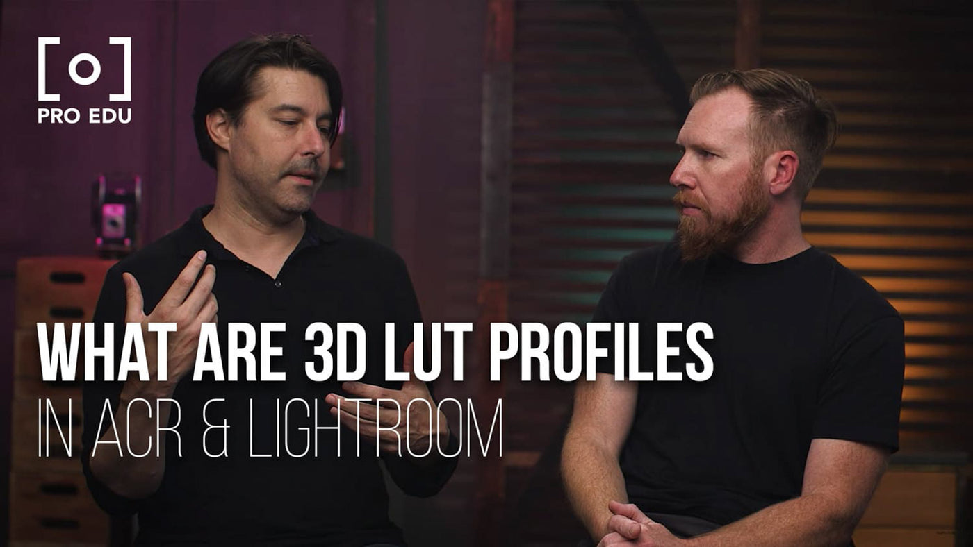 Enhance Portraits with 3D LUTs and Presets