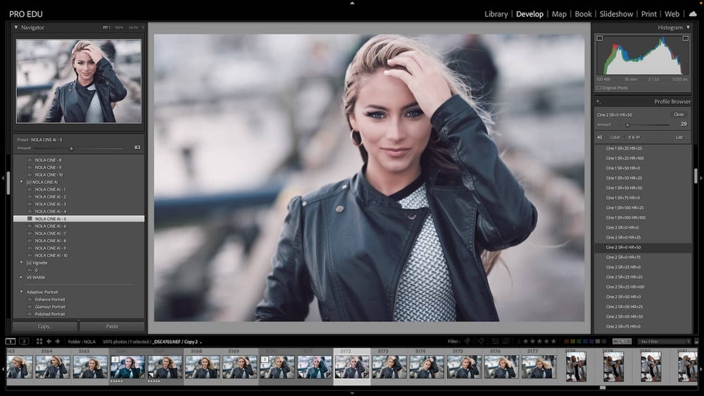 PRO EDU 3D LUT Profiles & Color Grading Presets: NOLA Natural Light