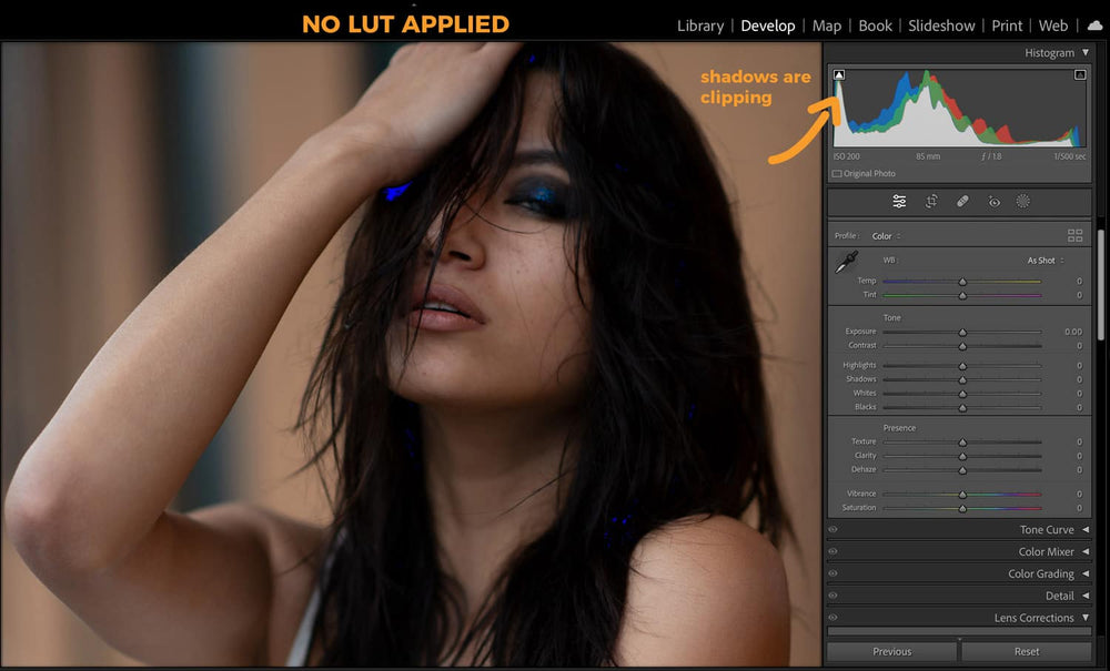 PRO EDU 3D LUT Profiles & Color Grading Presets: NOLA Natural Light