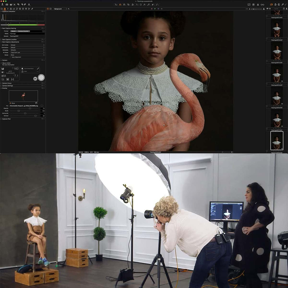 Darkroom Techniques: Traditional Art