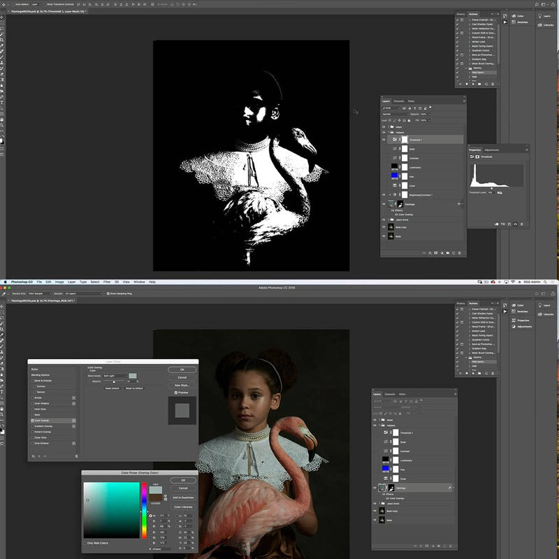 Darkroom Techniques: Traditional Art