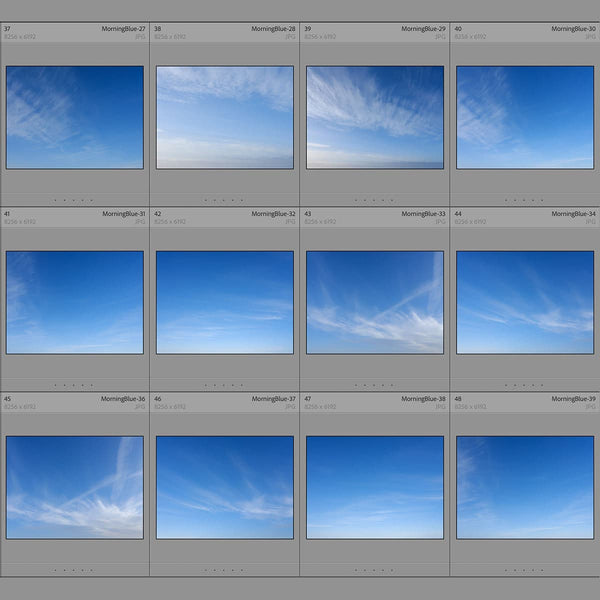 Threshold in Photoshop: Striking Black & White