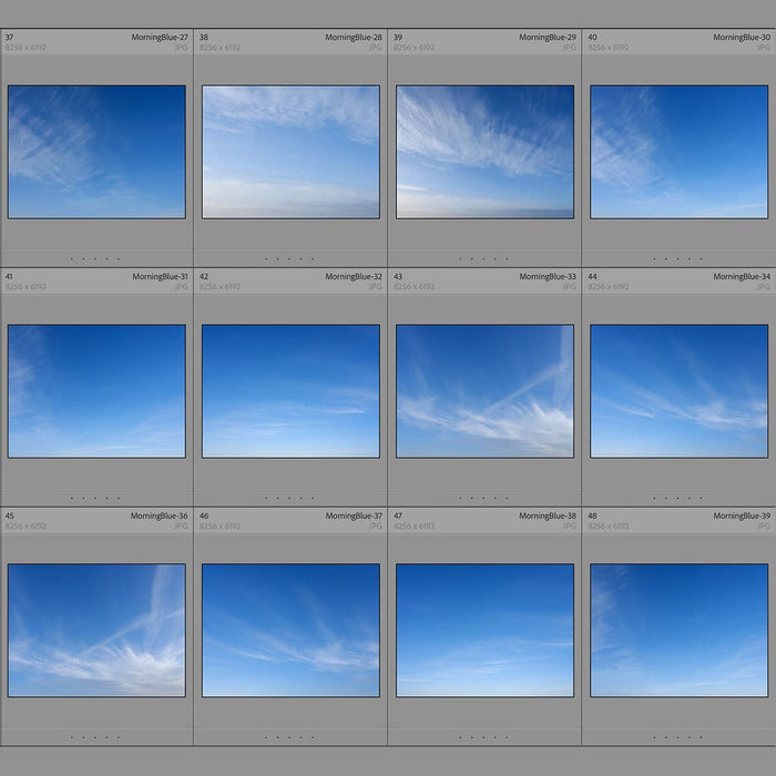Threshold in Photoshop: Striking Black & White
