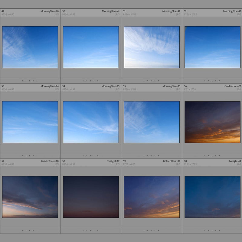 Threshold in Photoshop: Striking Black & White