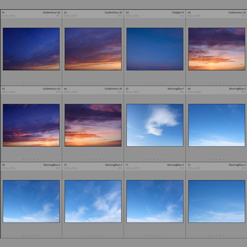 Threshold in Photoshop: Striking Black & White