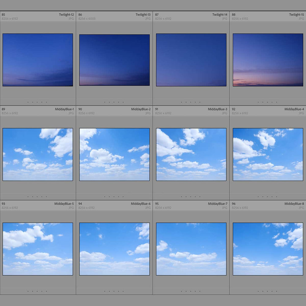 Threshold in Photoshop: Striking Black & White