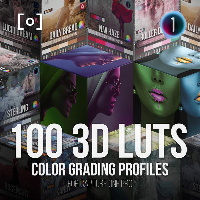 100 3D LUT Profiles for Adobe Photoshop Addon - PRO EDU