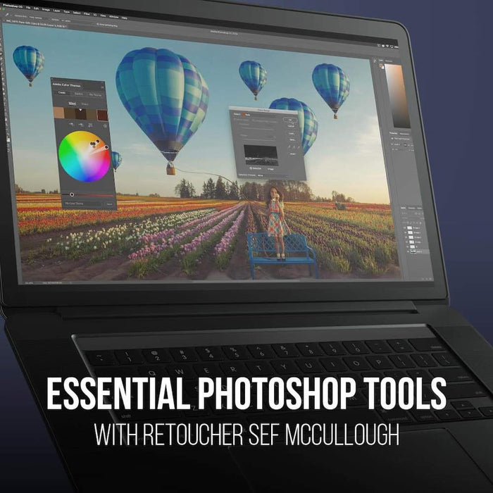 Alpha Channels in Photoshop: Guide To Mastering Transparency | PRO EDU