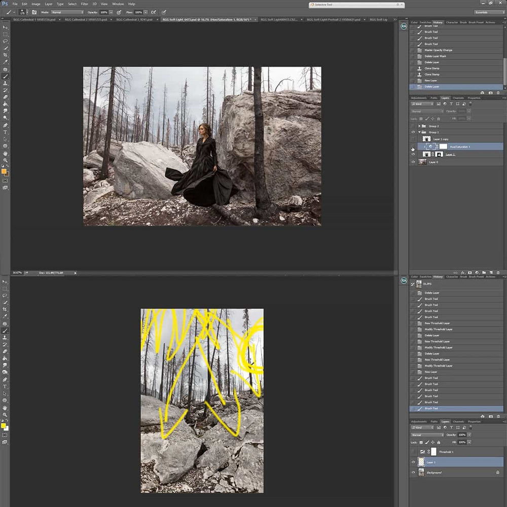 Transform Tool in Photoshop: Reshape Your Images