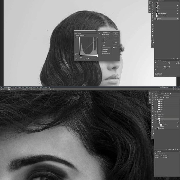 Lasso Tool in Photoshop: Freeform Selection
