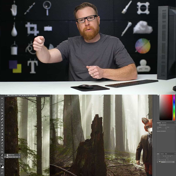 Alpha Channels in Photoshop: Guide To Mastering Transparency | PRO EDU